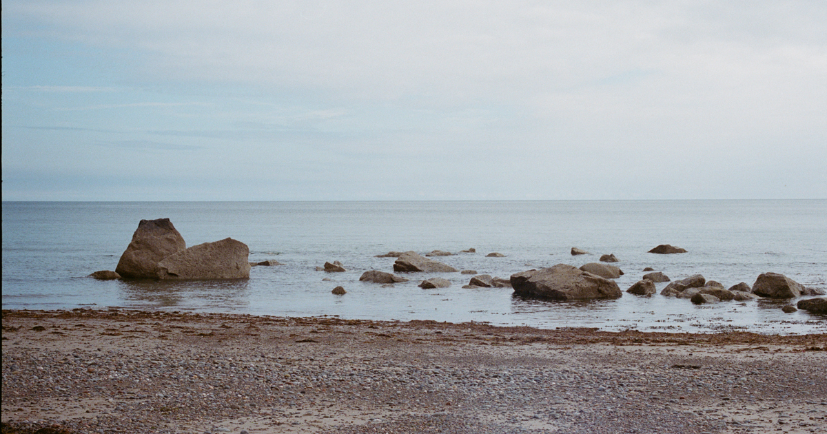 Searching for dolphins - Stories- Adventure Uncovered
