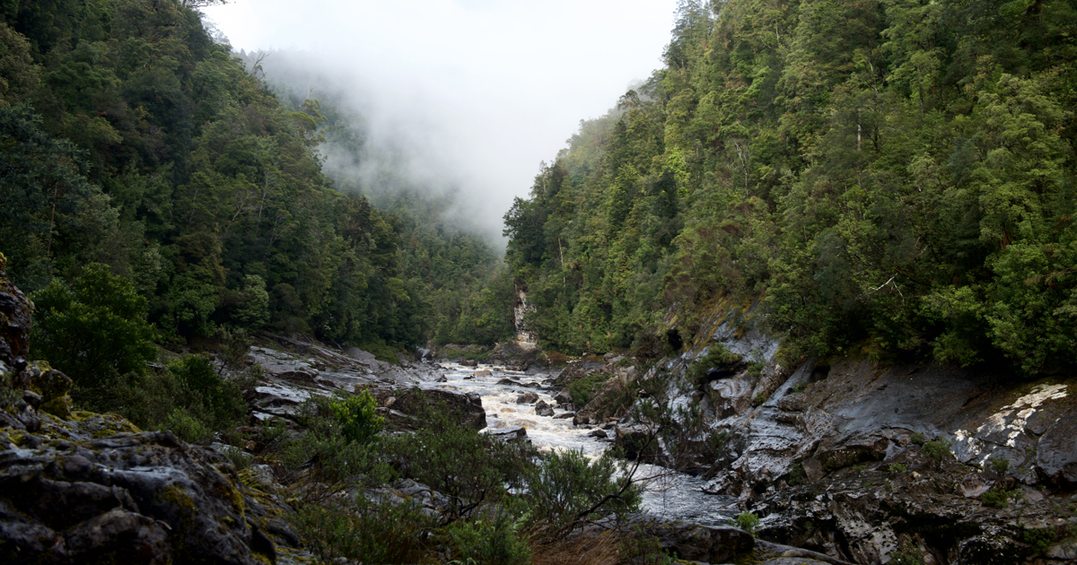 Retracing the rapids of Australia's most important environmental ...