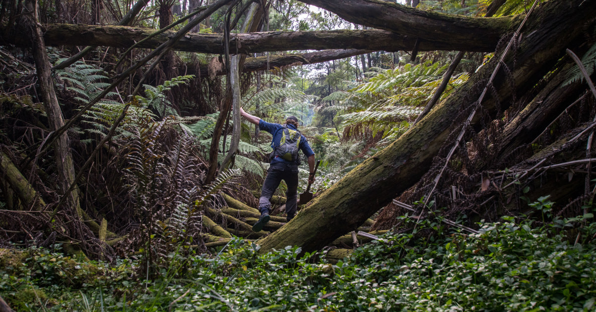 The Backyard Adventurer: an interview with Aussie polyjobist Beau Miles ...