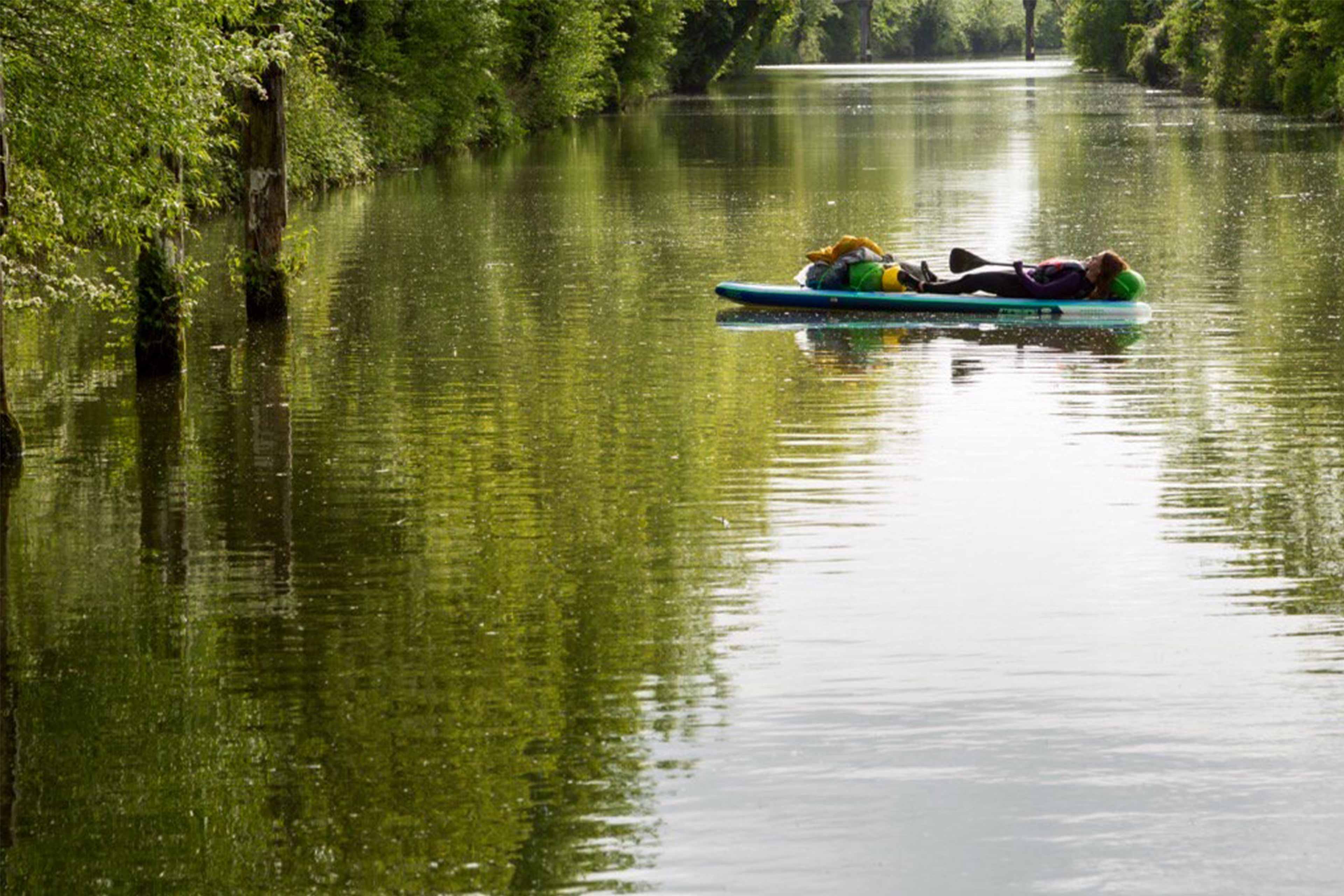 The environmental impact of plastic pollution locally - Stories ...